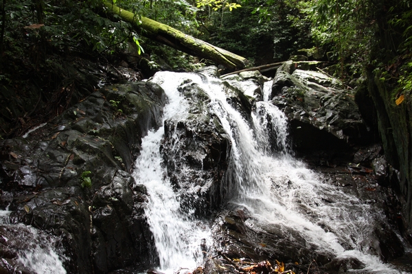 Picture: Waterfall in upper course of Hakau river, Misool, Raja Ampat