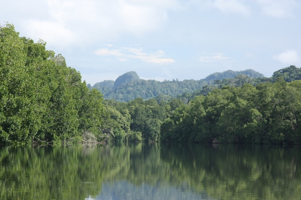 Picture: River Biga, Misool, Raja Ampat