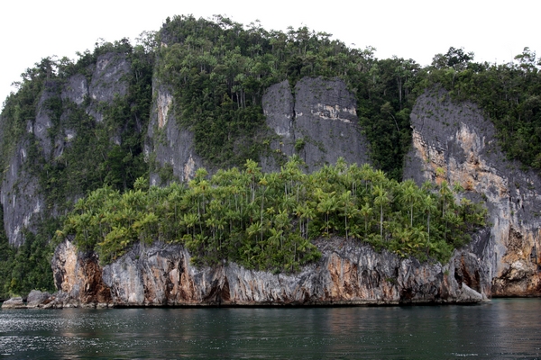 Picture: Limestone cliffs near the Triton bay, West Papua